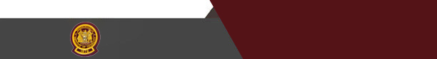 BI@MIT Cardinal and Gray Red Jacket
